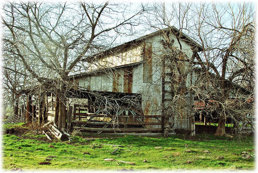 Back Barn Photograph by Lisa Moore - Pixels