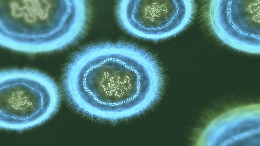Bacterial Dna, Conceptual Artwork Photograph by Equinox Graphics - Fine ... Bacterial Dna, Conceptual Artwork Photograph by Equinox Graphics - Fine ...