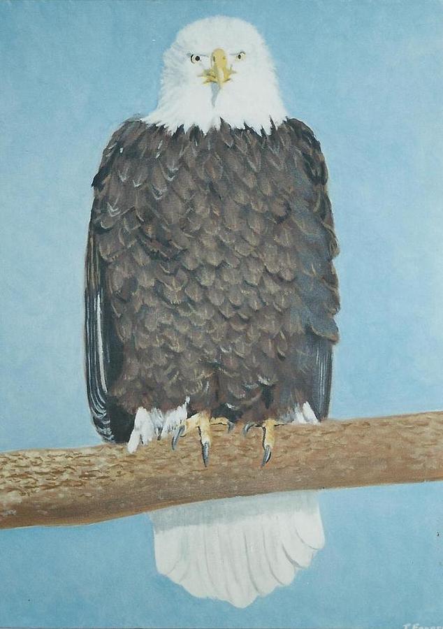 Bald Eagle II Painting by Terry Forrest - Fine Art America