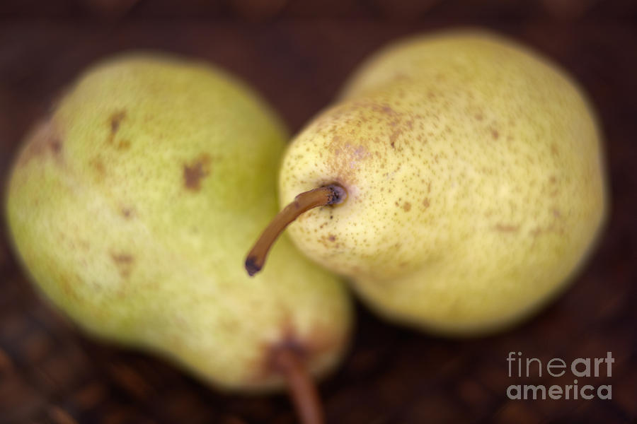 Bartlett Pears Photograph by Ei Katsumata