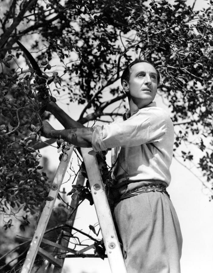 Basil Rathbone, C. 1944 Photograph by Everett - Pixels