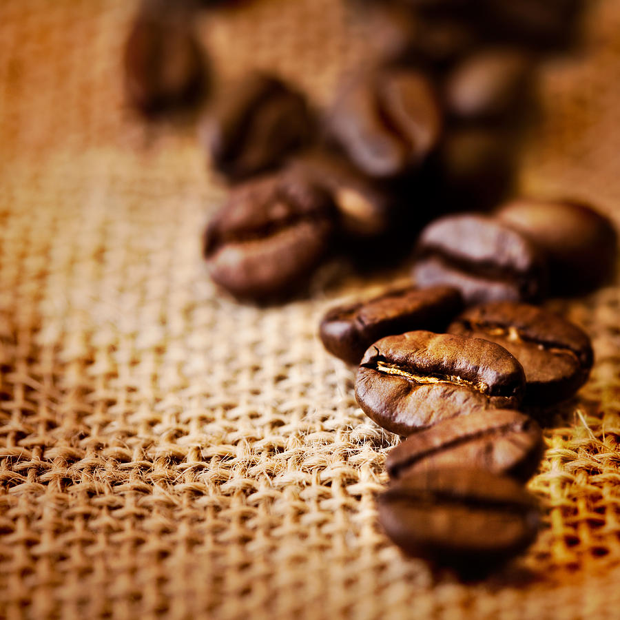 Beans Photograph by Bianca Nerlich - Fine Art America