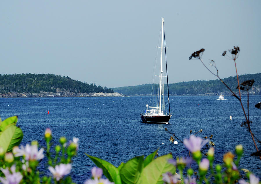 Beauty in Sailing Photograph by John Graham - Fine Art America