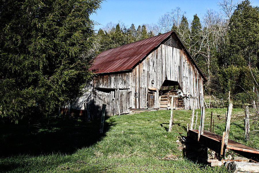 Bee's Barn Photograph by Eileen A McAllister | Fine Art America