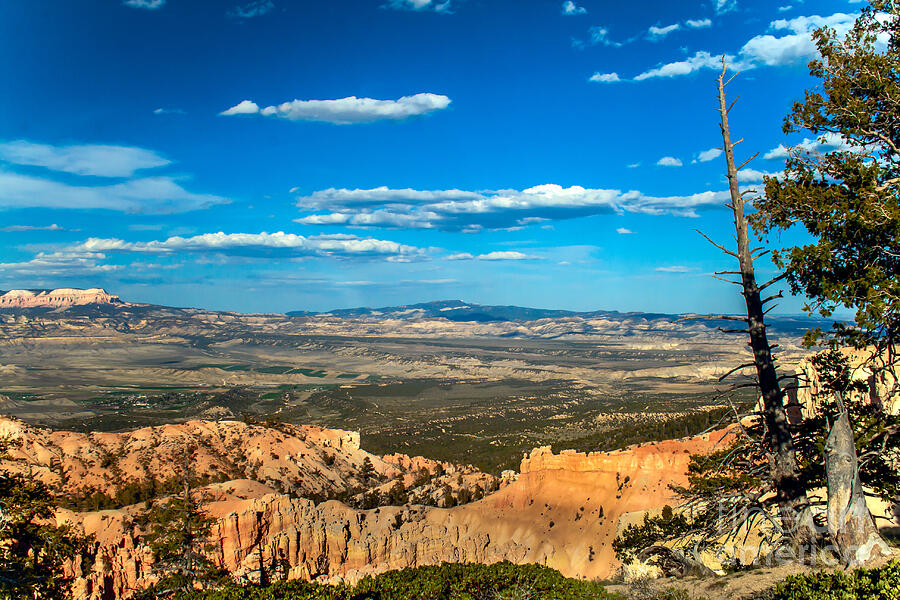 Beyond Bryce Photograph by Robert Bales | Fine Art America