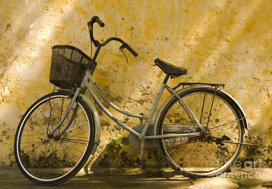 Bicycle Photograph by David Buffington - Fine Art America