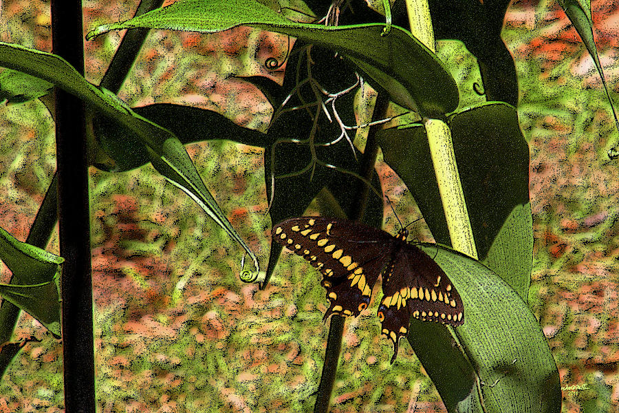Big Gulp Sorta Photograph by William McEachern - Fine Art America