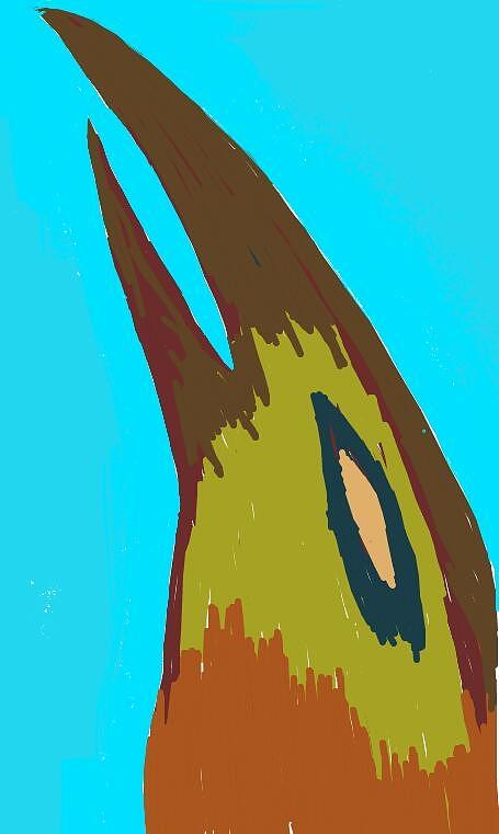 Bird Drawing by Sam Ke | Fine Art America