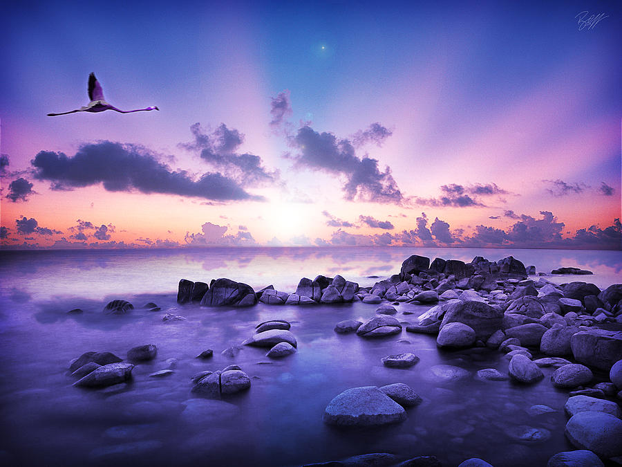 Bliss Digital Art by Ryan Shaffer - Fine Art America