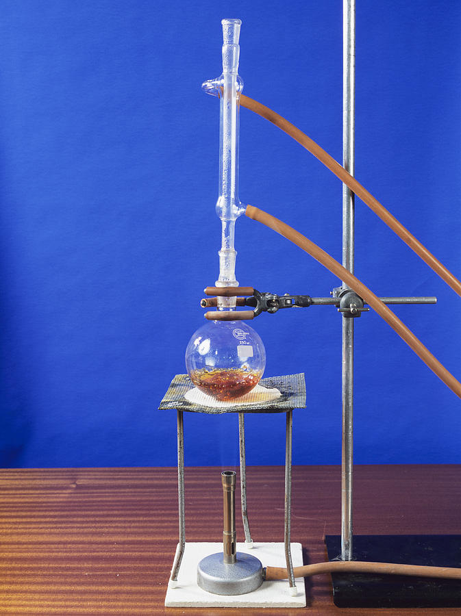 Boiling Proteins Photograph by Andrew Lambert Photography - Fine Art ...