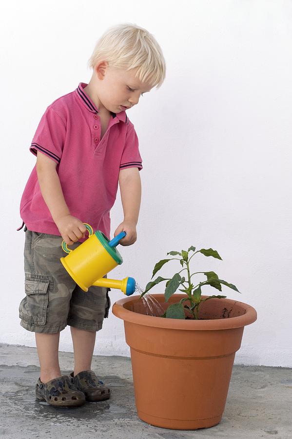 Boy Watering A Potted Plant Photograph by Carlos Dominguez - Fine Art ...