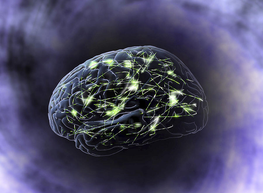Brain Activity, Computer Artwork Photograph by Equinox Graphics - Fine ...
