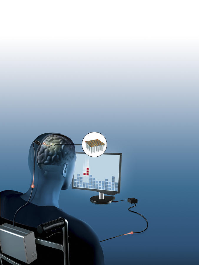 Brain-computer Interface, Artwork Photograph by Claus Lunau - Fine Art ...