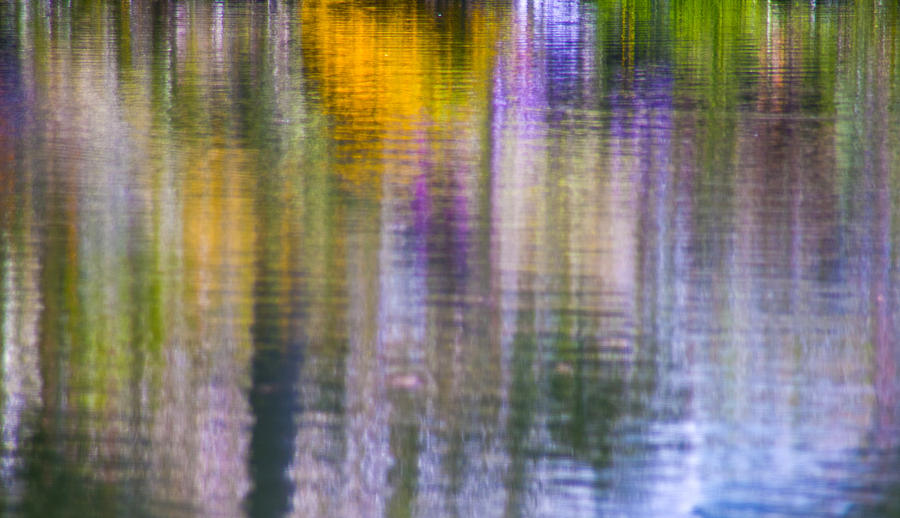 Bright Reflections Photograph by Frank Turner - Fine Art America