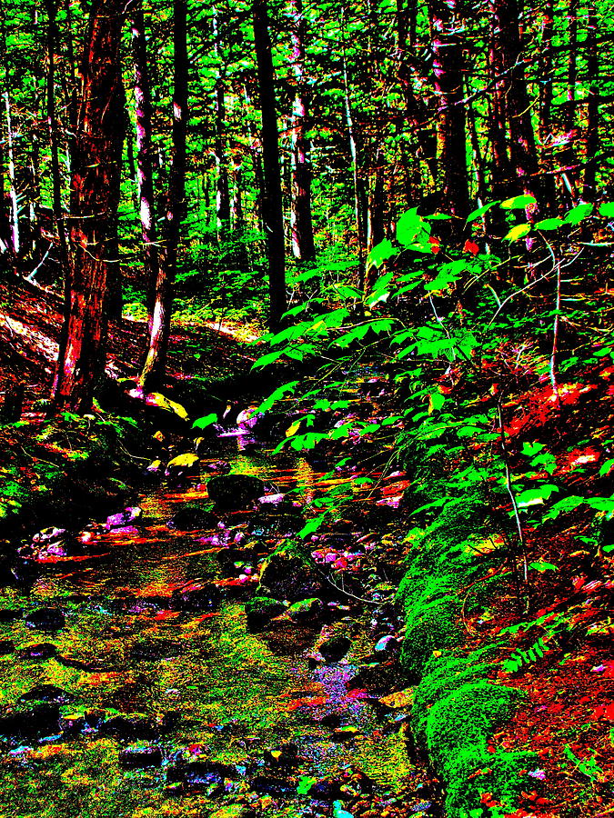 Brook Texture 12 Photograph by George Ramos - Fine Art America