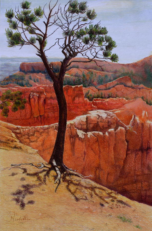 Bryce Drawing by Becky Neideffer - Fine Art America