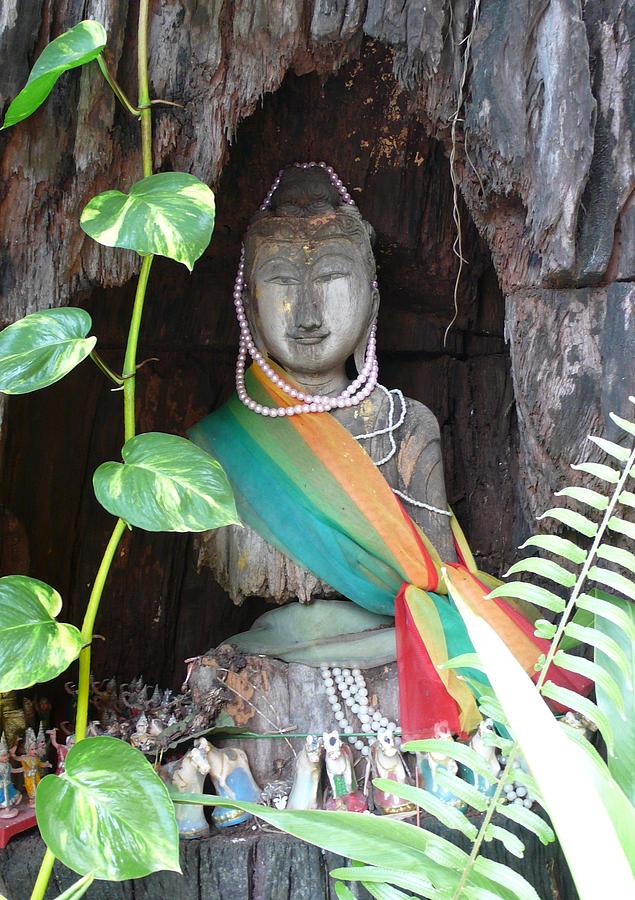 Buddha Tree Photograph by Gregory Smith - Fine Art America