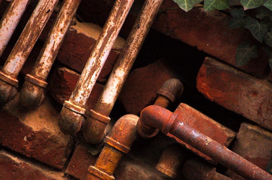 Busting Through Photograph by Eamon Forslund - Fine Art America