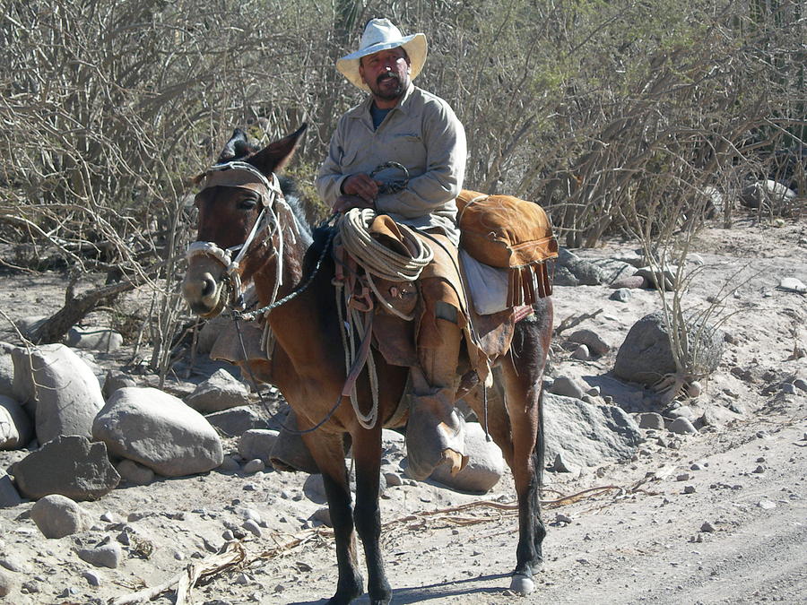 Cabalaro Photograph by Linda Singleton - Fine Art America