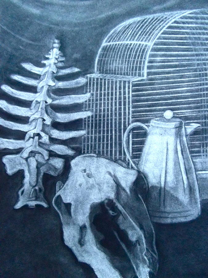 Caged Drawing by Skylar Sullivan