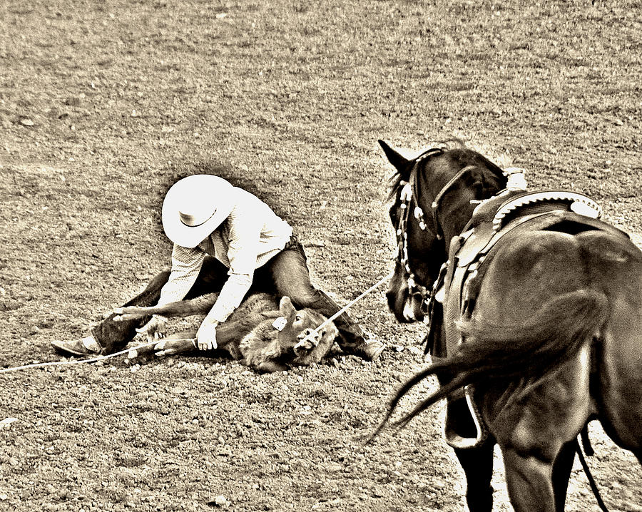 Calf Roping Photograph by Kathryn Ory - Pixels