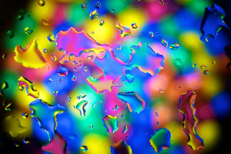 Candy Photograph by Amanda Davis - Fine Art America