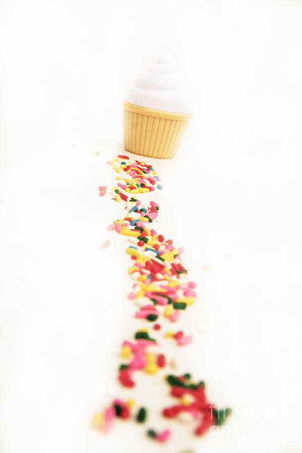 Candy Trail Photograph by Beth Engel - Fine Art America
