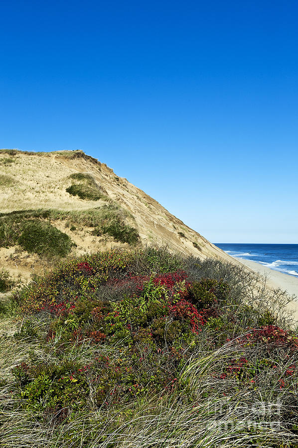 Cape Cod Dune Cliff Photograph by John Greim - Fine Art America