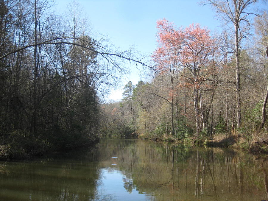 Capturing Spring Photograph by Kathryn Bryant - Fine Art America