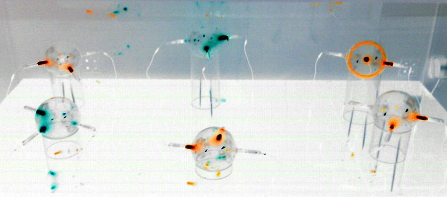 Cathode Ray Sunshine Photograph by Bryan Wulf