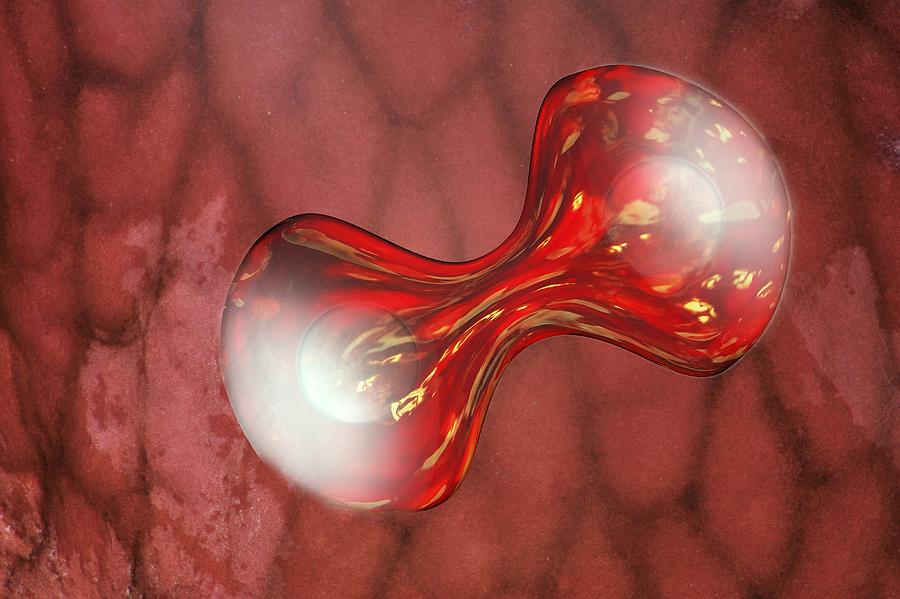 Cell Division, Conceptual Artwork by Science Photo Library