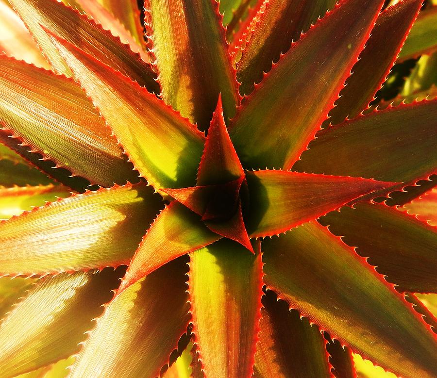 Centerpoint Photograph by Charles Jennison - Fine Art America