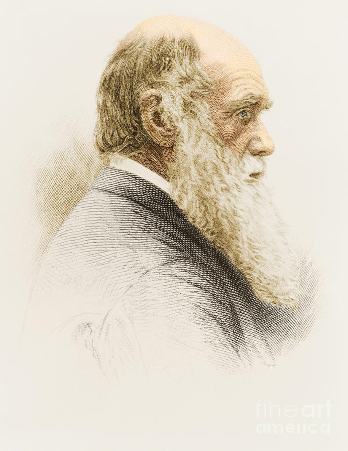 Charles Robert Darwin, English Photograph by Science Source - Pixels