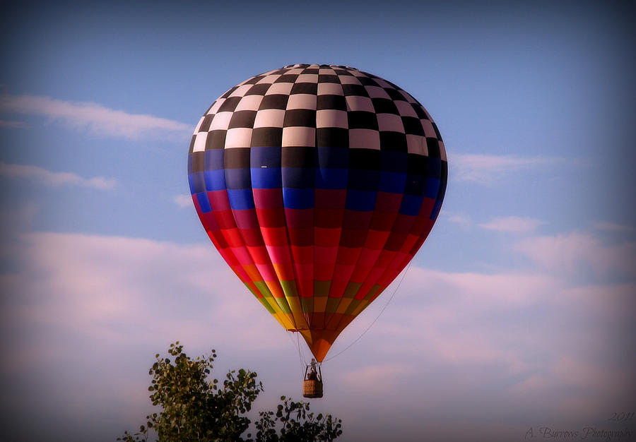 Checkered Pattern Balloon Photograph by Aaron Burrows - Fine Art America