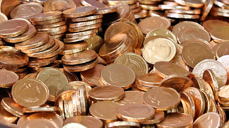 Chocolate Gold Photograph by Elizabeth Hart - Fine Art America