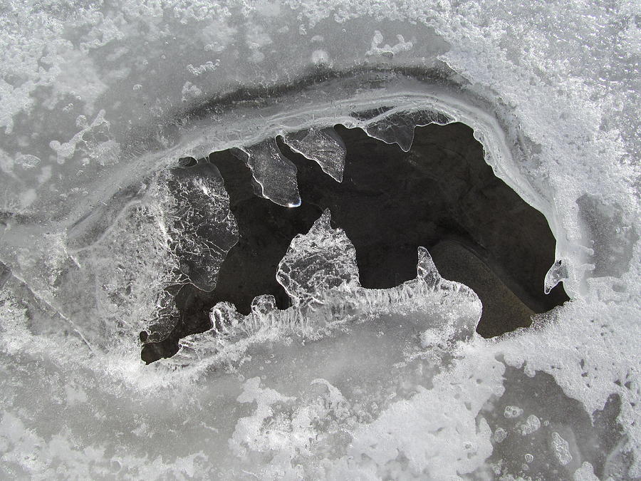 Chomp Photograph by Britt Meierhofer - Pixels