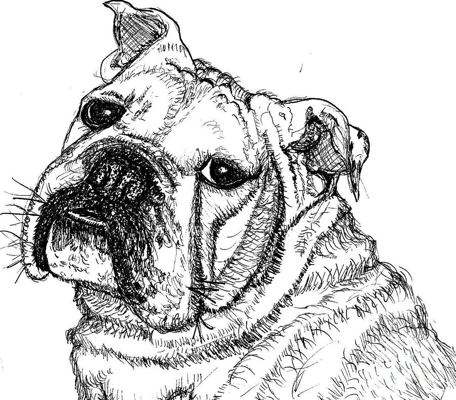 Chunky Drawing by DJ Laughlin - Fine Art America