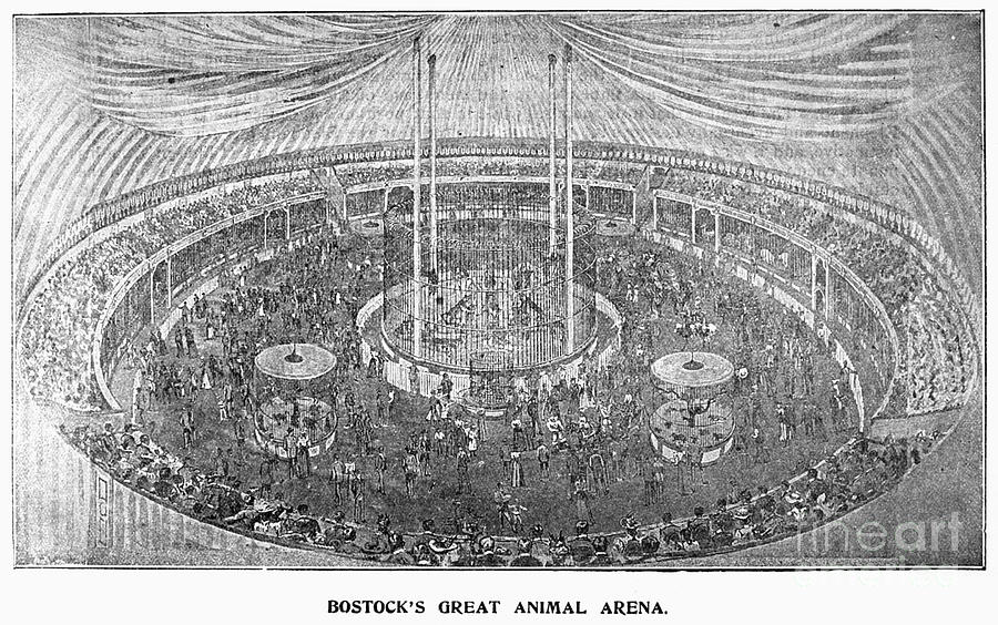 CIRCUS ARENA, c1901 Photograph by Granger | Fine Art America