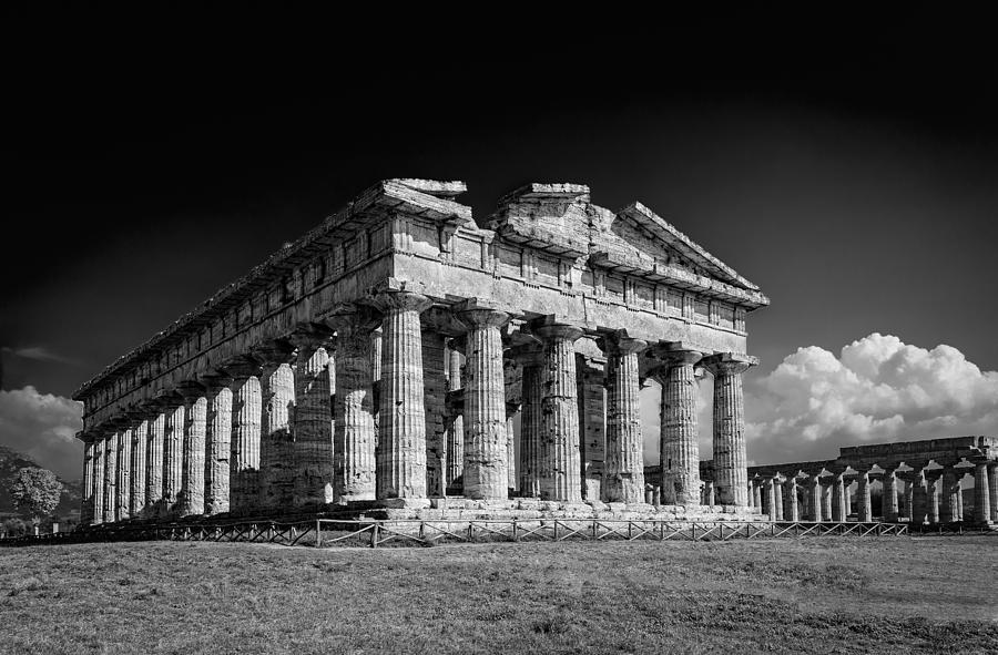 Classical Perfection Photograph by Michael Avory - Fine Art America