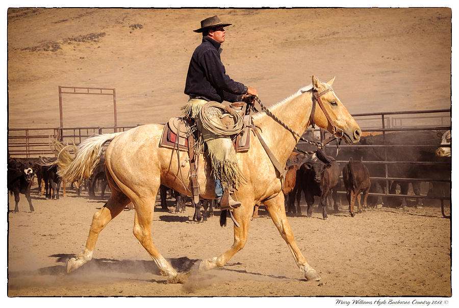Clint Riggins Photograph by Mary Williams Hyde - Fine Art America
