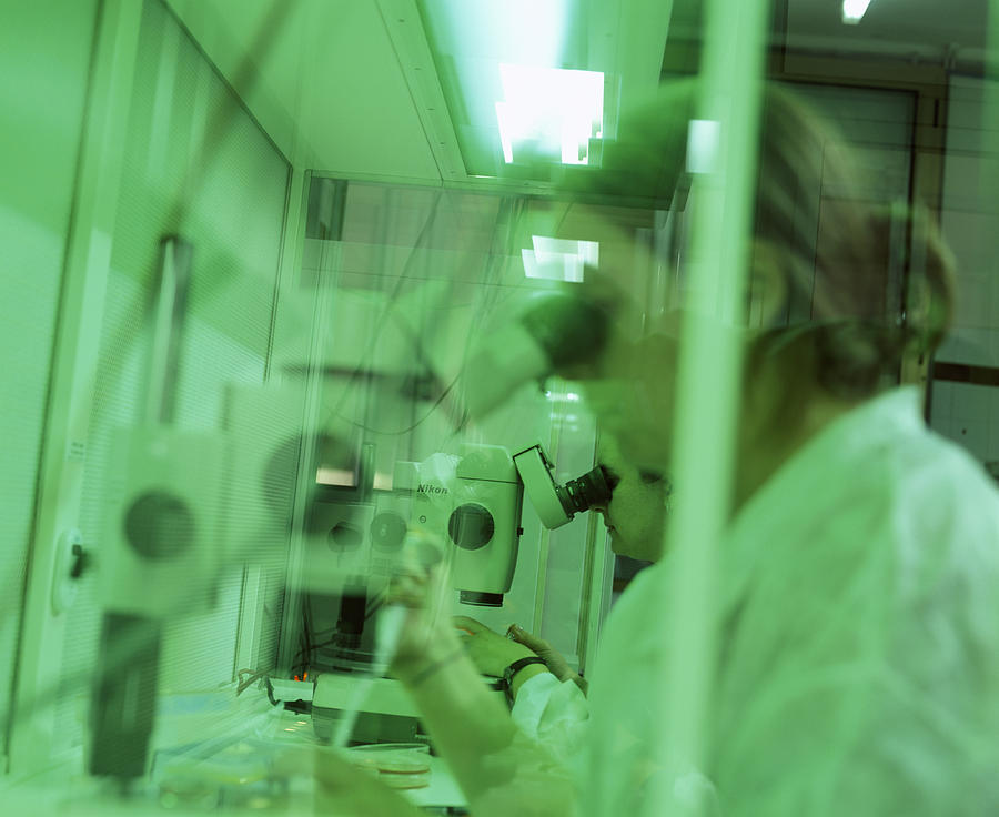 Cloning Research Photograph By Mauro Fermariello Fine Art America