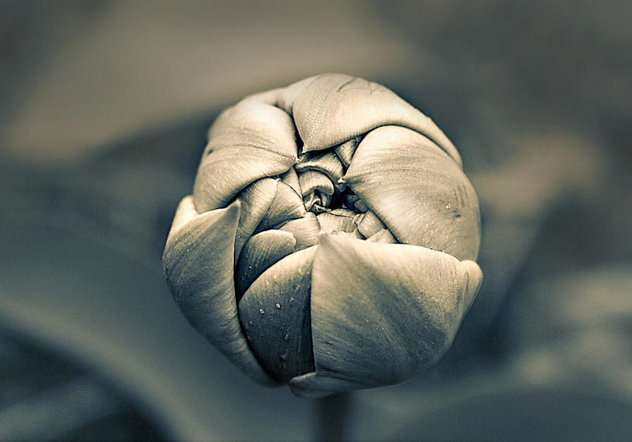 Closed Until Spring Photograph by William Currier - Fine Art America