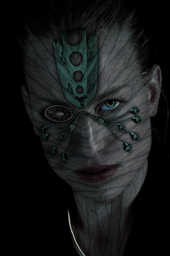 Cold future Photograph by Nathan Wright - Fine Art America