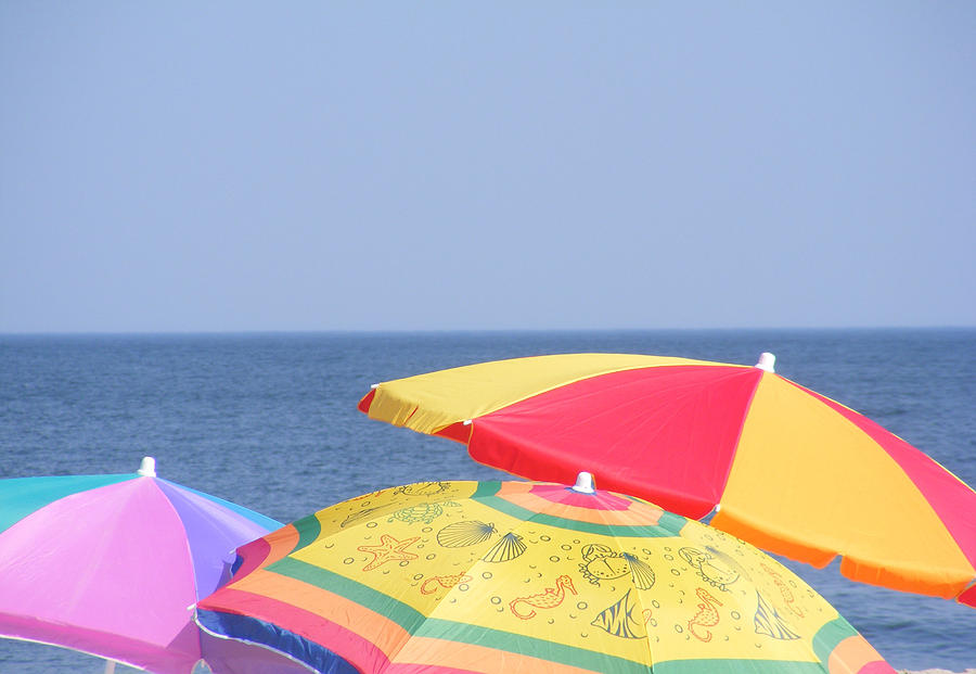 Colorful Canopy Photograph by Carol Bruno - Fine Art America