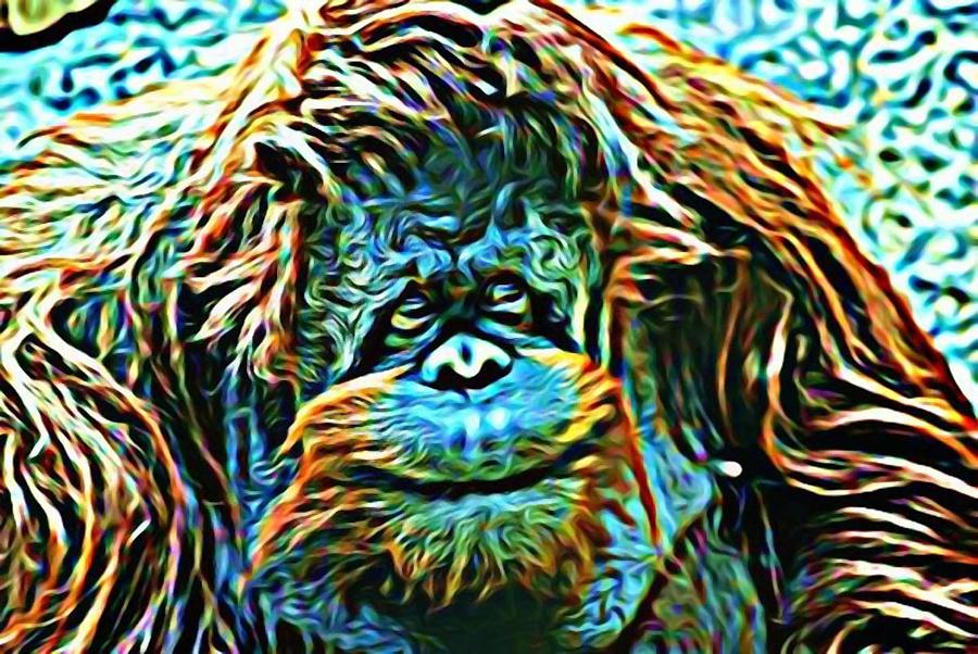 Colorful Monkey Photograph by Dee Phillips - Fine Art America