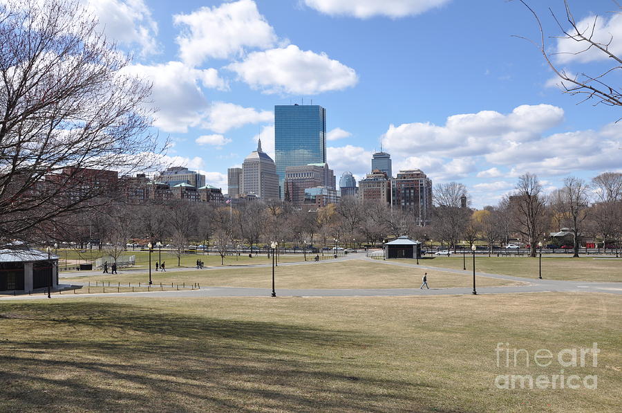 Common Grounds Photograph by Dominic Stringer