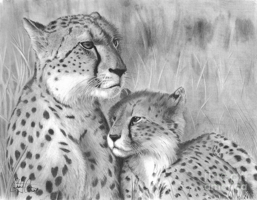 Cuddle Drawing by Christian Conner | Fine Art America