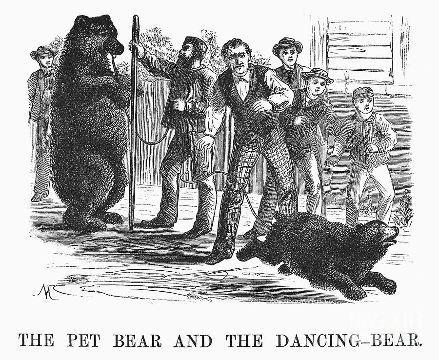 DANCING BEARS, c1840 Photograph by Granger - Pixels