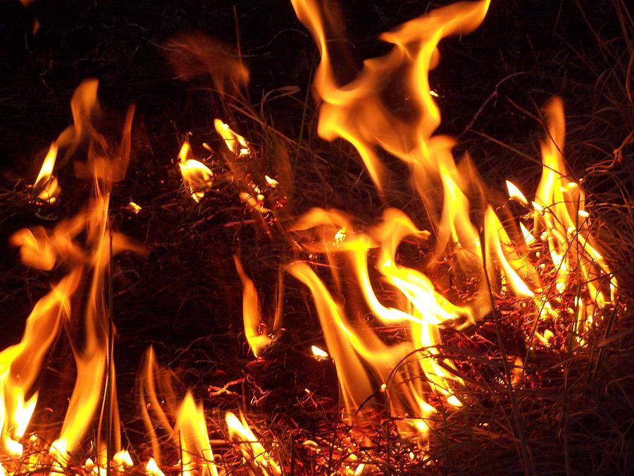 Dancing Flame Photograph by Aaron Moore - Fine Art America