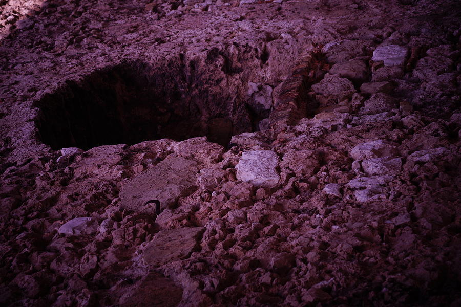 Dark Photograph by Anna Strilchuk - Fine Art America